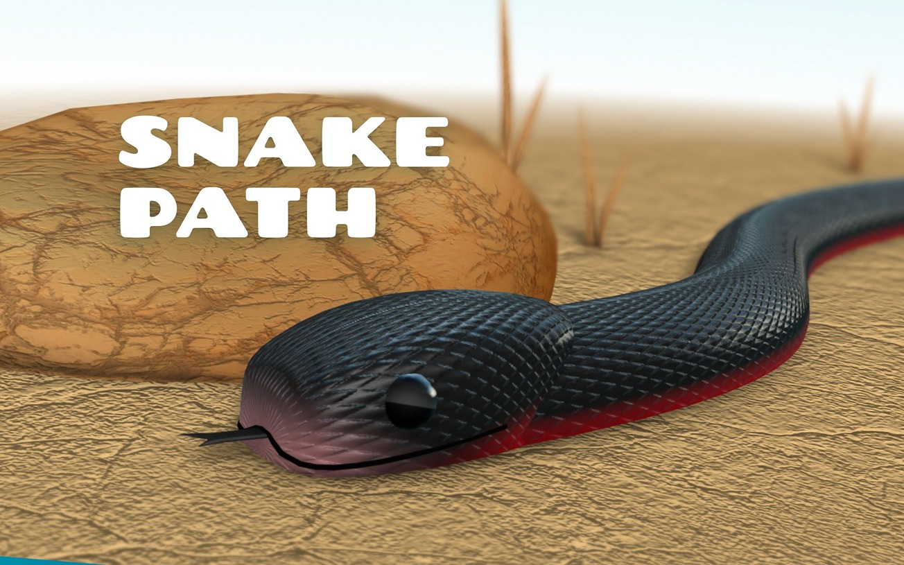 Redbelly Blacksnake