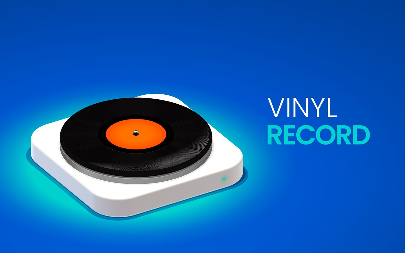 Vinyl Record Flip